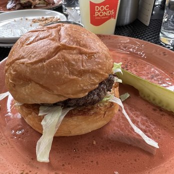 DOC PONDS - Updated July 2024 - 558 Photos & 724 Reviews - 294 Mountain ...