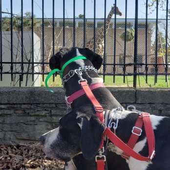 DELAWARE PARK - Updated November 2025 - 153 Photos & 69 Reviews - 84 ...