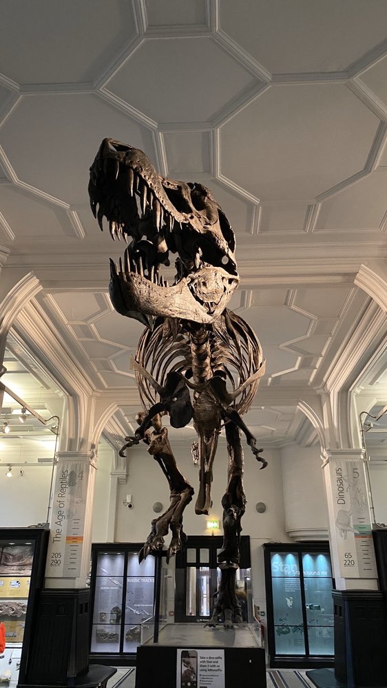 MANCHESTER MUSEUM - 131 Photos & 30 Reviews - Oxford Road, Manchester ...