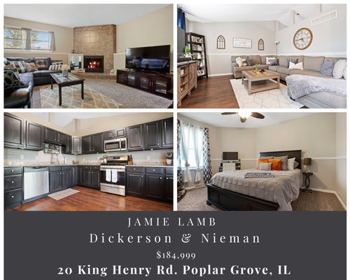 JAMIE LAMB - DICKERSON & NIEMAN REALTORS - Updated April 2025 - 68 ...
