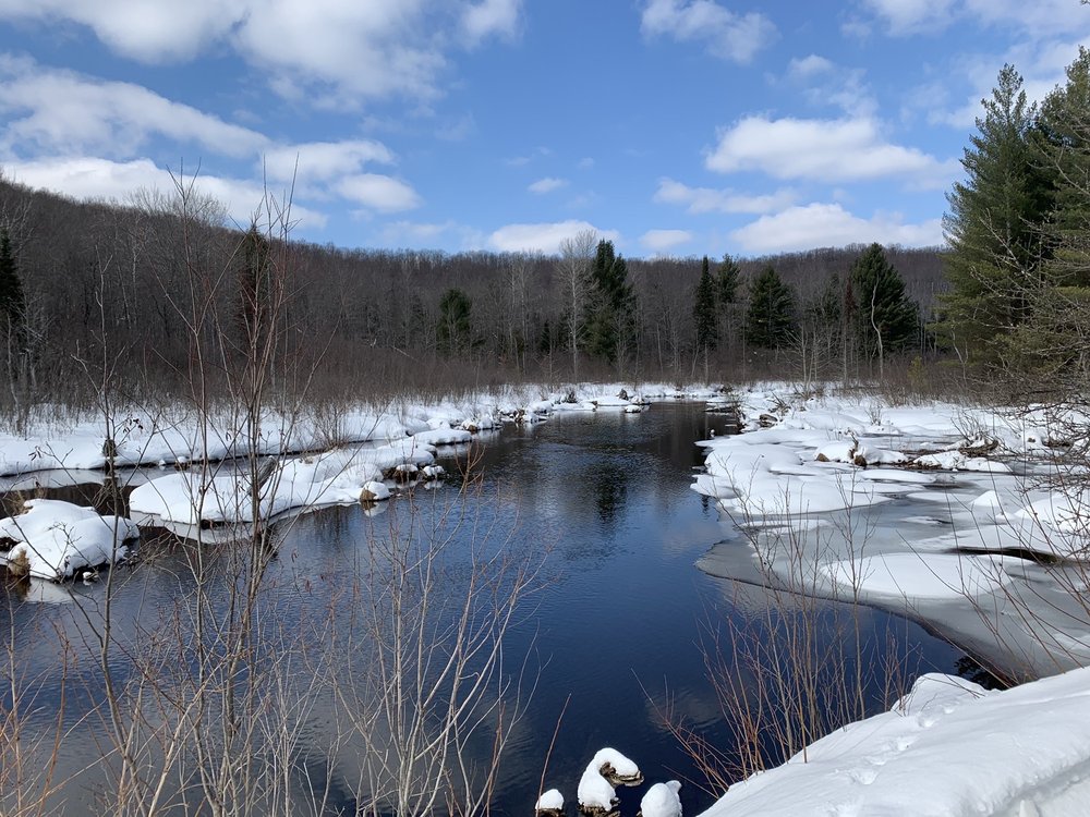 HEART LAKE RESORT - Updated December 2025 - 21 Photos - 9603 Old ...