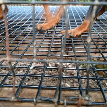 WIRE CLOTH MAN - Updated September 2025 - 7158 123rd Cir, Largo ...