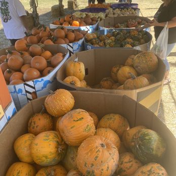 BATES NUT FARM - 1662 Photos & 505 Reviews - 15954 Woods Valley Rd ...