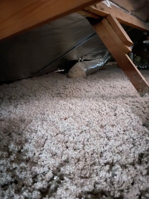 EVERGUARD HOME INSULATION - Updated December 2025 - 115 Photos & 404 ...