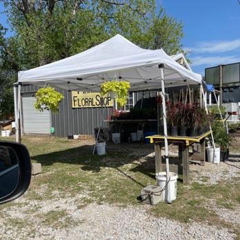 MARIA’S FLORAL SHOP - Updated April 2025 - 34 Photos - 4803 E Hwy 199 ...