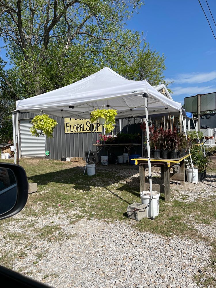 MARIA’S FLORAL SHOP - Updated March 2025 - 34 Photos - 4803 E Hwy 199 ...