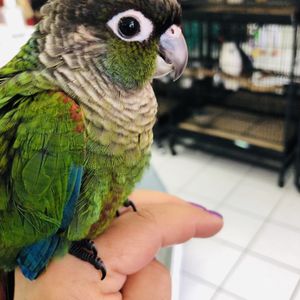 ANIMAL HOUSE PET SHOP - 210 Photos - Miami, Florida - Pet Stores ...