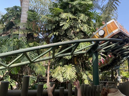 COASTERSAURUS - Updated May 2025 - 20 Photos - 1 Legoland Dr, Carlsbad ...