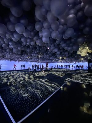 BALLOON MUSEUM - Updated December 2025 - 219 Photos & 45 Reviews - 299 ...