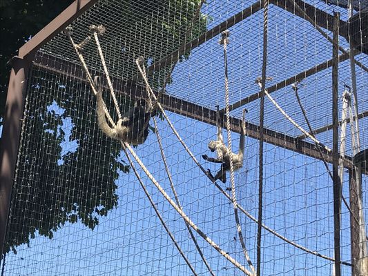 RACINE ZOO - Updated June 2025 - 132 Photos & 84 Reviews - 2131 N Main ...