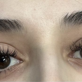 MOON LASHES & BROWS - Updated June 2024 - 276 Photos & 176 Reviews ...
