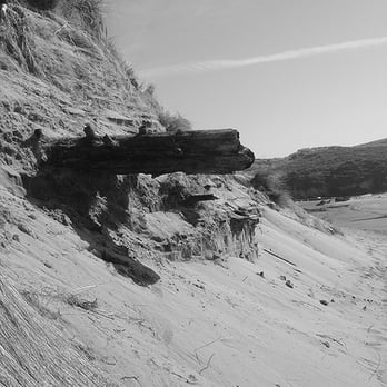 KEHOE BEACH - Updated February 2025 - 104 Photos & 34 Reviews - Point ...