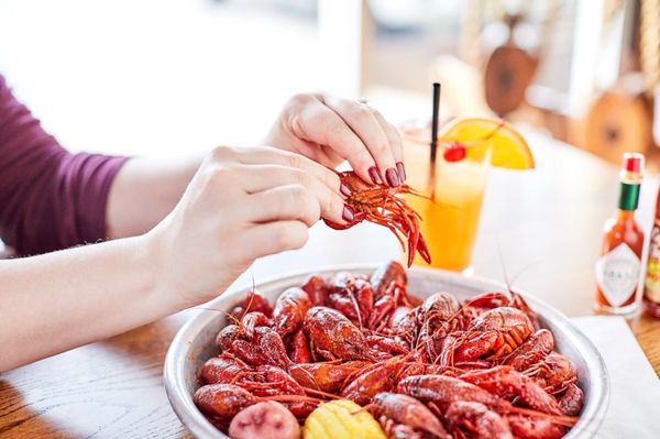 HALF SHELLS - Updated December 2025 - 120 Photos & 79 Reviews - 23501 ...