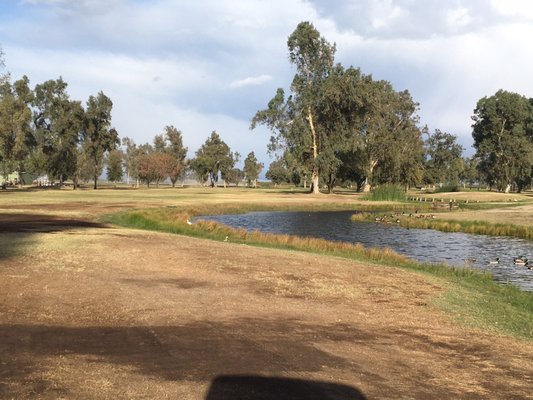 TULARE GOLF COURSE - Updated November 2024 - 20 Photos & 18 Reviews ...