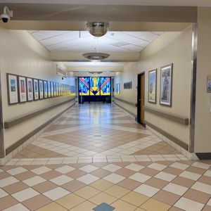 JAMES A HALEY VETERANS HOSPITAL - Updated October 2025 - 13 Photos ...