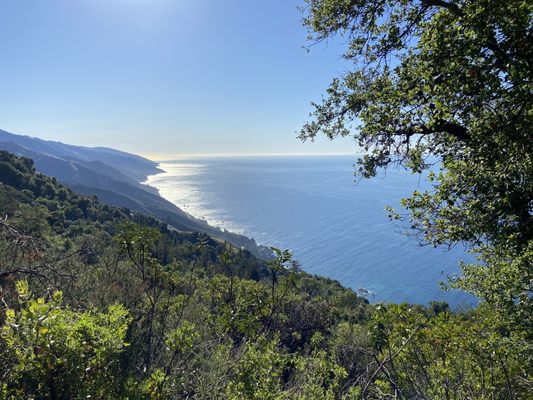 TANBARK TRAIL - Updated December 2025 - 11 Photos - CA-1, Big Sur ...