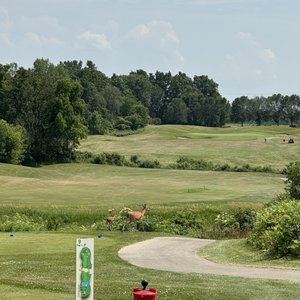 WHITE HAWK COUNTRY CLUB - Updated April 2025 - 58 Photos & 25 Reviews ...