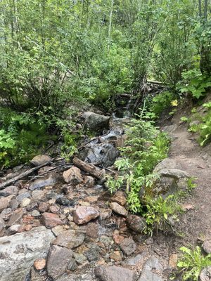 BOOTH LAKE TRAIL - Updated January 2026 - 32 Photos & 11 Reviews - 3099 ...