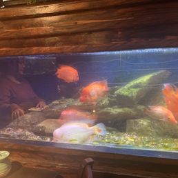 GINZA JAPANESE CUISINE - Updated October 2025 - 248 Photos & 114 ...