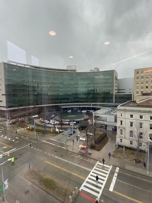CLEVELAND CLINIC MAIN CAMPUS - Updated December 2025 - 88 Photos & 337 ...