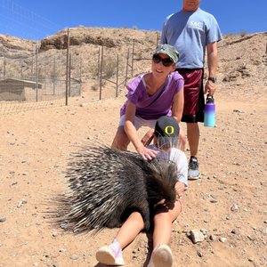 CAMEL SAFARI - 323 Photos & 41 Reviews - 2725 River Cliff Rd ...