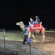 Bull Run Festival of Lights - 323 Photos & 108 Reviews - Festivals ...