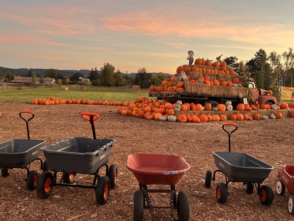 SCHOLLS FERRY FARM PUMPKIN PATCH - Updated November 2025 - 63 Photos ...