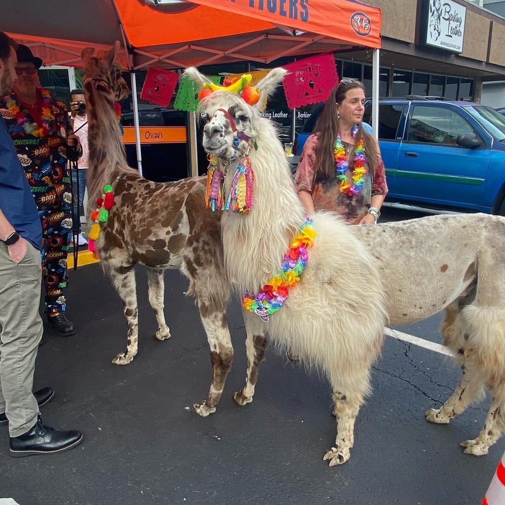 OSCAR’S ATLANTA - Updated August 2025 - 89 Photos & 43 Reviews - 1510 ...