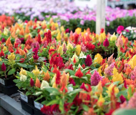 THE HOME DEPOT - Updated June 2026 - 23 Reviews - 2400 Millstream Road ...