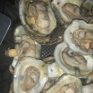 HOSS’S DELI - 91 Photos & 129 Reviews - 806 Old Oyster Point Rd ...