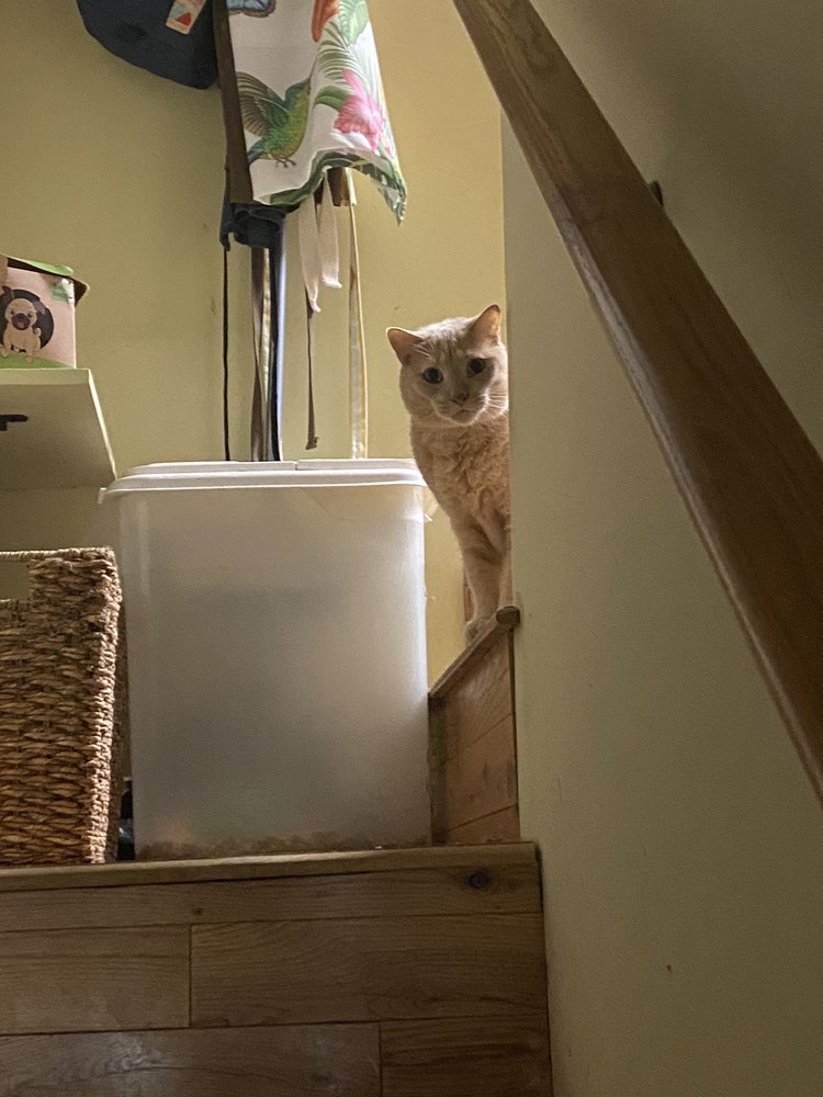 PARTY TIME BEER & WINE - Updated October 2025 - 16 Reviews - 11443 ...