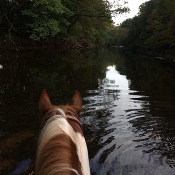 RED BUFFALO RANCH - Updated August 2024 - 67 Photos & 53 Reviews - 1106 ...