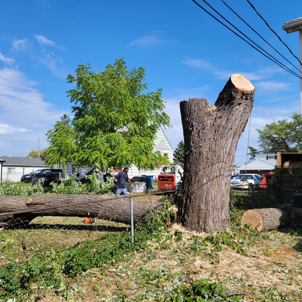 DANNY’S TREE SERVICES - Updated October 2025 - 24 Photos - Warren ...