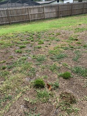 BUG-OUT SERVICE - Updated December 2025 - 28 Reviews - 1959 Kings Ave ...