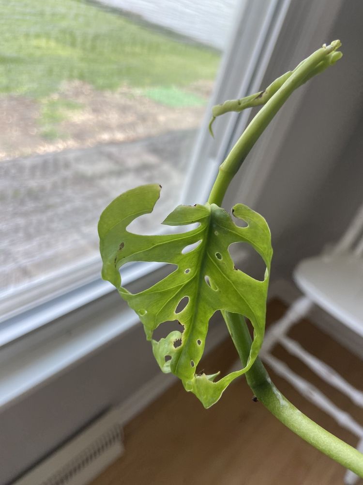 MARIA GARDENS CENTER - Updated March 2024 - 20 Photos & 28 Reviews ...