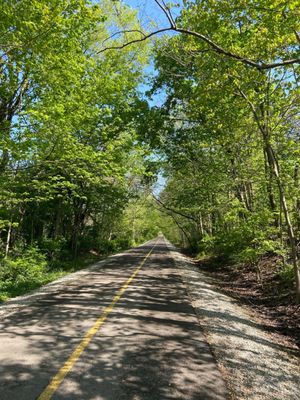 MONON GREENWAY / TRAIL - CARMEL - Updated May 2025 - 76 Photos & 29 ...