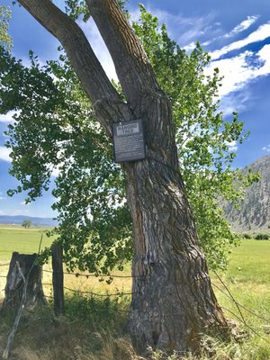 THE HANGING TREE - Updated December 2025 - Genoa, Nevada - Landmarks ...