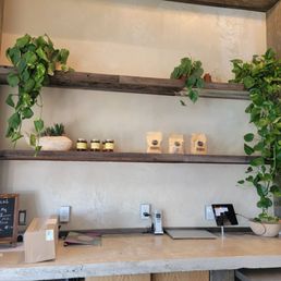 LITTLE AVALON - Updated August 2025 - 280 Photos & 108 Reviews - 7355 ...