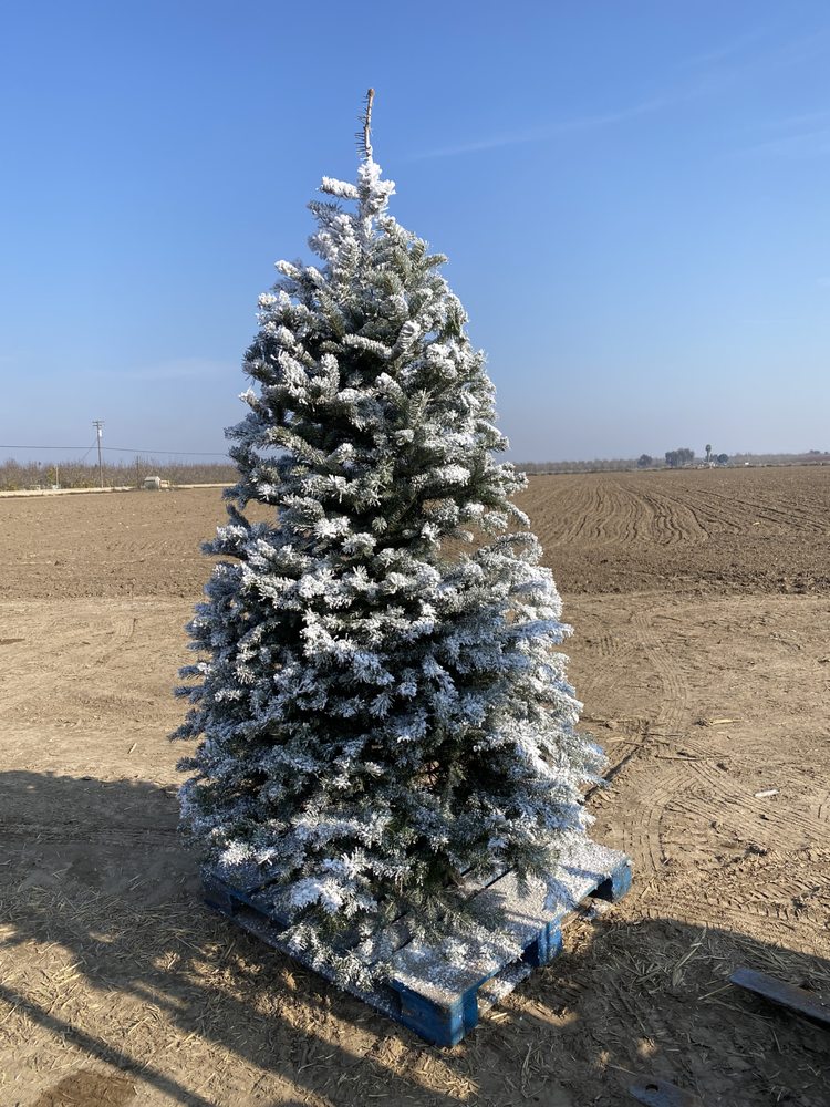 FIELDS OF ICE - Updated January 2026 - 42 Photos & 29 Reviews - 716 N ...