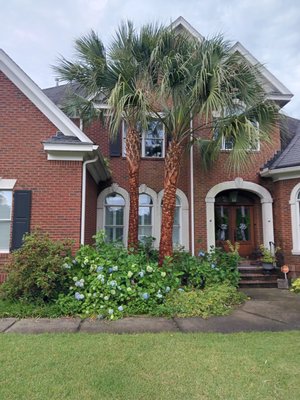 BRYAN GOLDSTEIN TREE TRIMMING - Updated June 2024 - 10 Photos ...