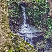 FAIRHAVEN PARK - 23 Photos - Parks - 2222-2298 Chuckanut Dr N ...