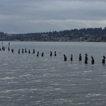 LOG BOOM PARK - Updated March 2025 - 80 Photos & 27 Reviews - 17415 ...