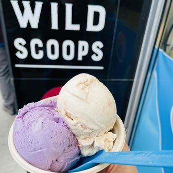 WILD SCOOPS - Updated May 2025 - 403 Photos & 357 Reviews - 429 E St ...