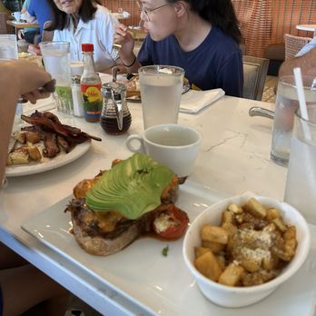 TOASTED DEL MAR - Updated September 2025 - 528 Photos & 507 Reviews ...