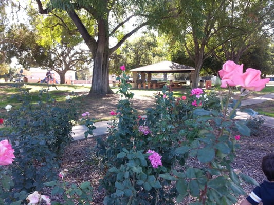 SHAFFER PARK - Updated December 2024 - 17 Photos & 19 Reviews - 1930 N ...