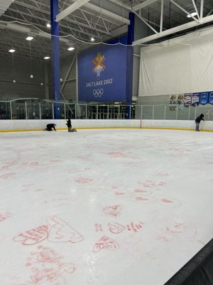 PEAKS ICE ARENA - Updated April 2025 - 53 Photos & 24 Reviews - 100 N ...