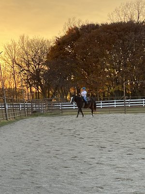 BEAUTIFUL SHOES FARM - Updated April 2026 - 5355 Cosgray Rd, Dublin ...