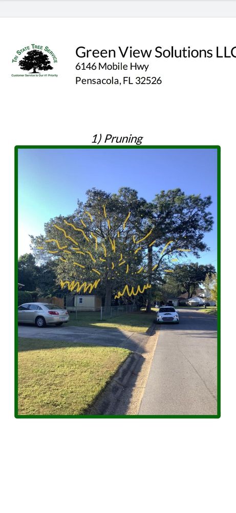 TRI STATE TREE SERVICE - Updated October 2025 - 10 Reviews - 6146 ...