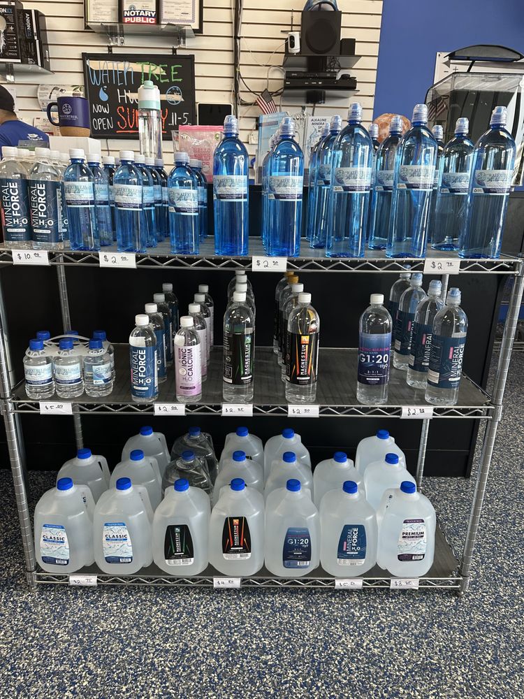 WATER TREE - Updated July 2025 - 11 Photos - 2527 Market St, Galveston ...