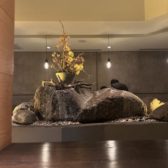 TEI-AN Dallas, TX - Updated November 2024 - 1875 Photos & 693 Reviews ...